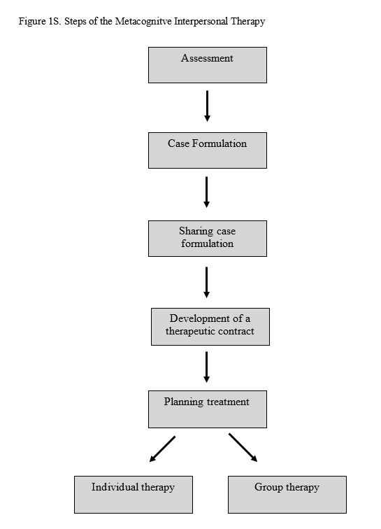 Supplemental Material for Metacognitive Interpersonal Therapy in Borderline Personality Disorder ...